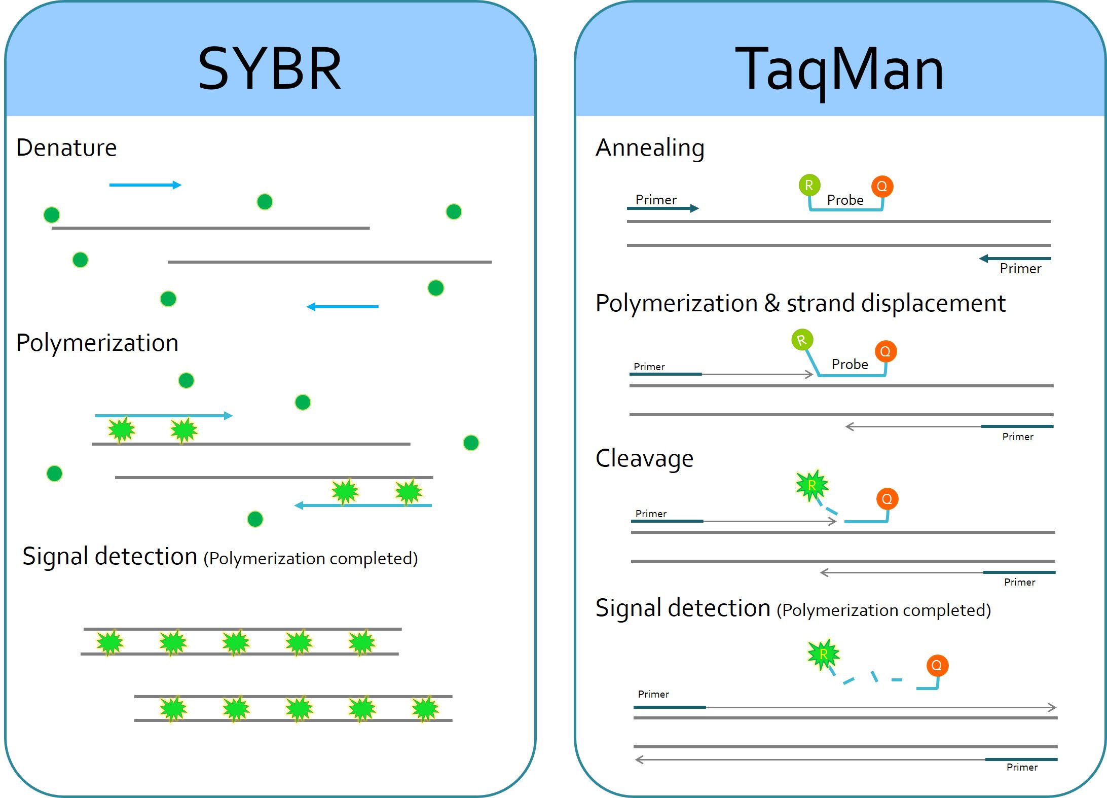 How can I choose ExcelTaq™ 2X Q-PCR Master Mix? How can I choose ExcelTaq™ 2X Q-PCR Master Mix?
