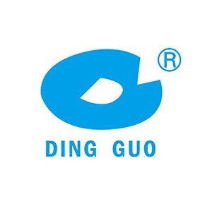 Ding Guo