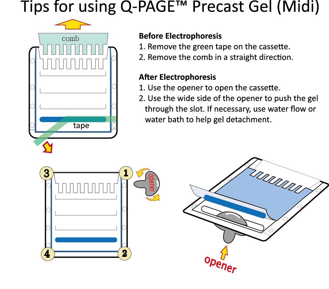 What buffer can I use to transfer Q-PAGE™ Precast Gels? Can you provide ...