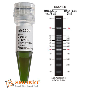 [DM2300] ExcelBand™ 100 bp+3K DNA Ladder, 500 μl
