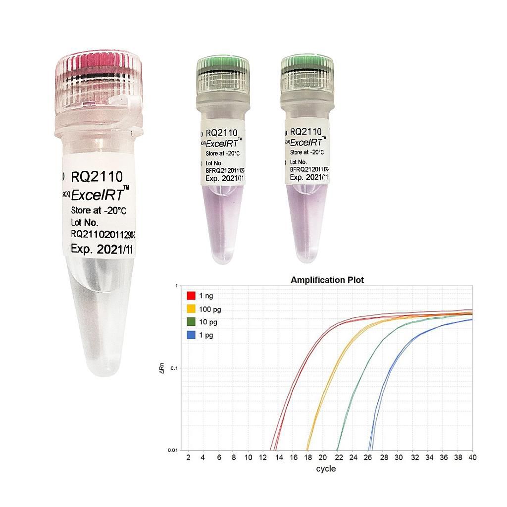 [RQ2110] ExcelRT™ One-Step RT-qPCR Kit (TaqMan, ROX), 200 Rxn